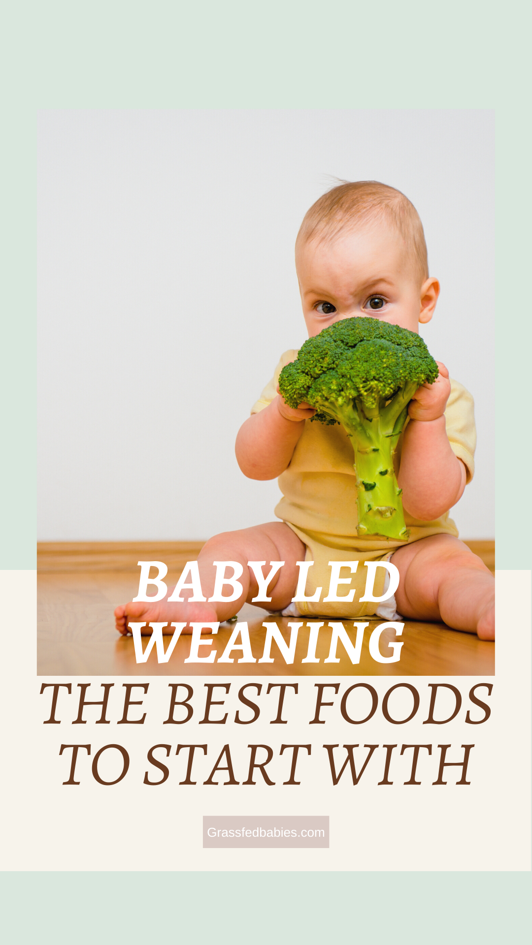 Taste the Adventure: Baby Led Weaning & First Foods for Foodie Moms in 2023